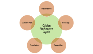 Student Nurse Reflection ExamplesAcademic Assignments